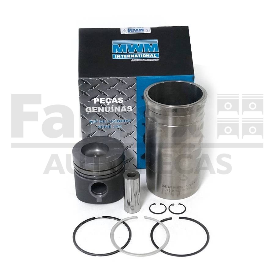 Famax Auto Peças | Kit Motor MWM D229 4 e 6 Cilindos